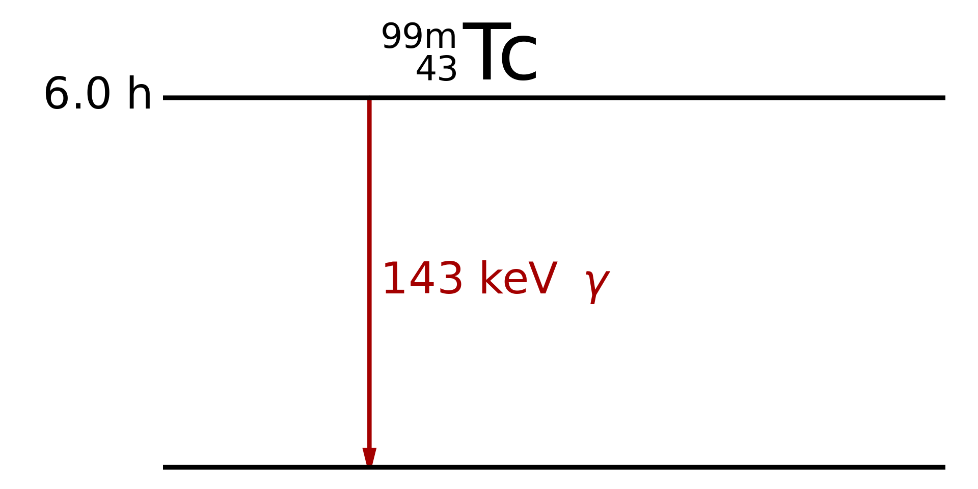 4.2 Nuclear Reactions – First Wombat